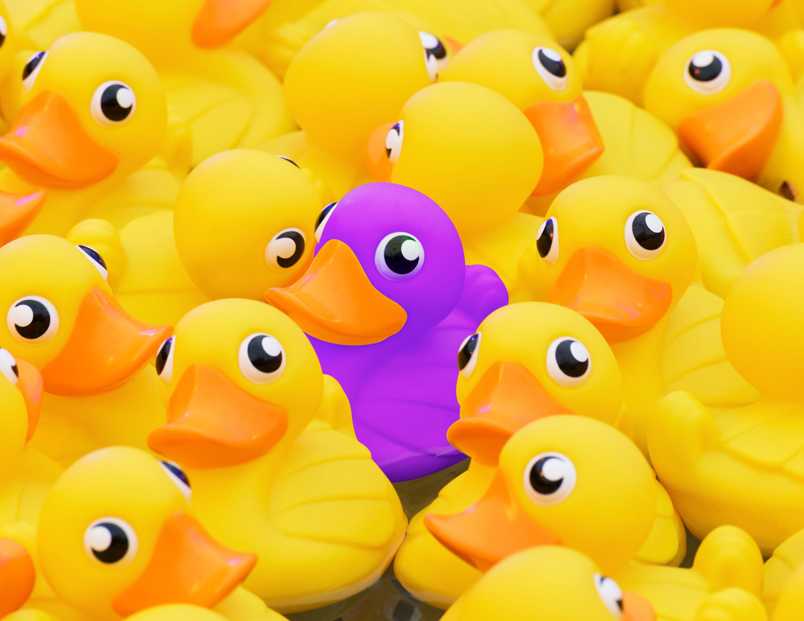 Obvious and non-obvious content - Brand IQ Obvious and non-obvious content - Brand IQ